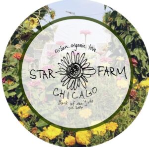 Kennedy inbound Fullerton on the entrance ramp | Chicago Gateway Green