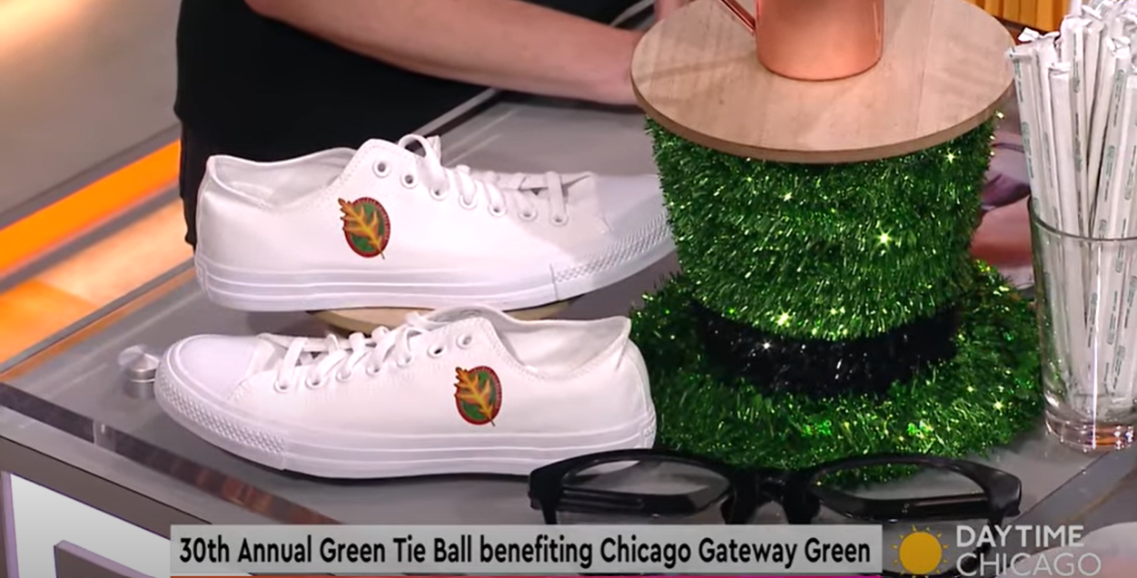 30th Anniversary - Daytime Chicago | Chicago Gateway Green
